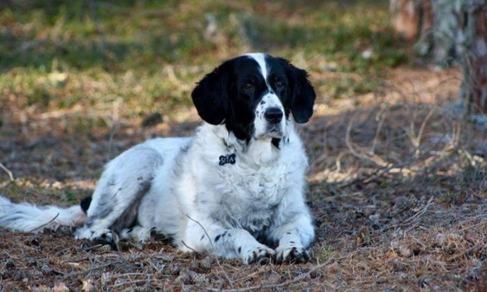 Sita var plaget av innbilte svangerskap: – Ordentlig trist